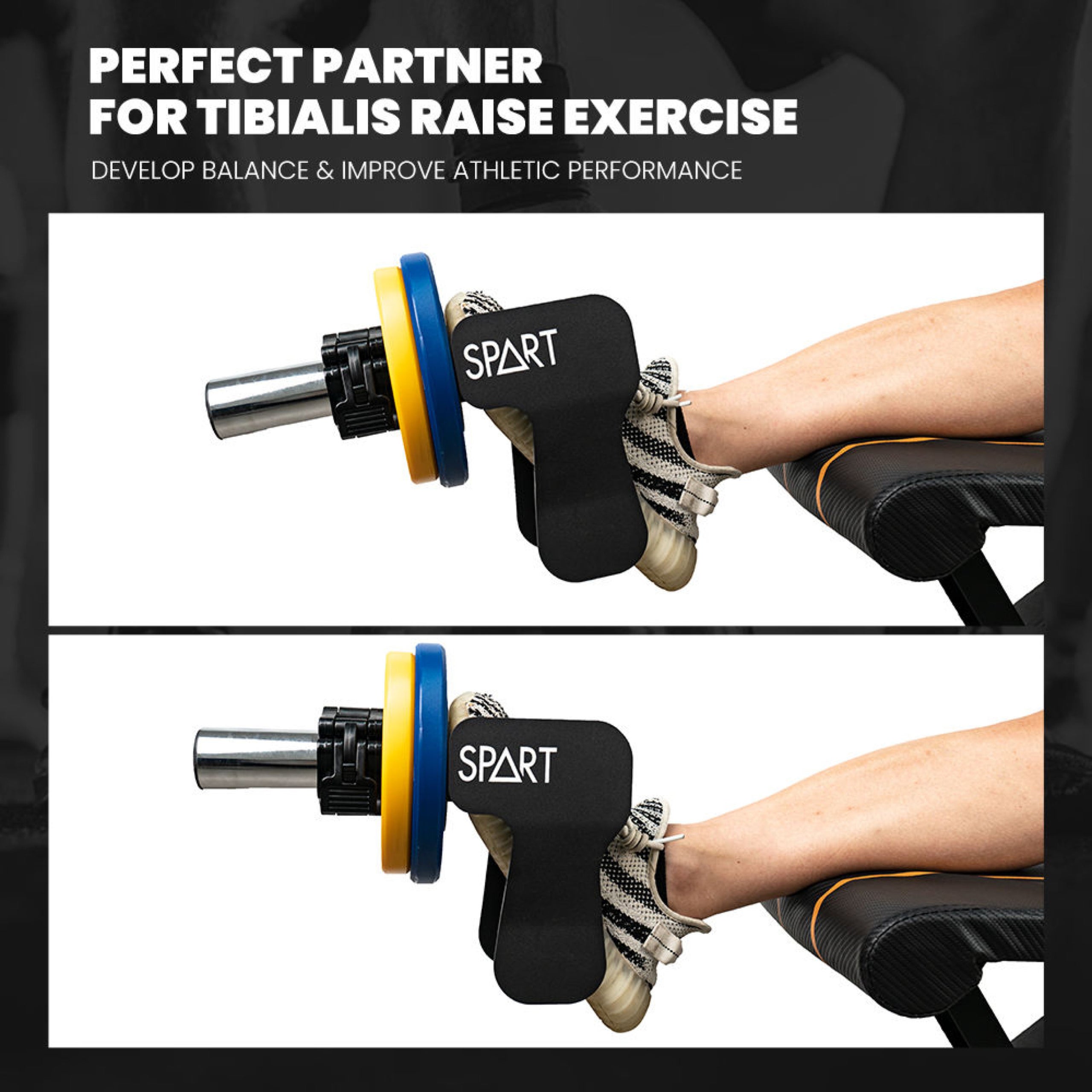 Iso Gym Single Leg Tib Trainer