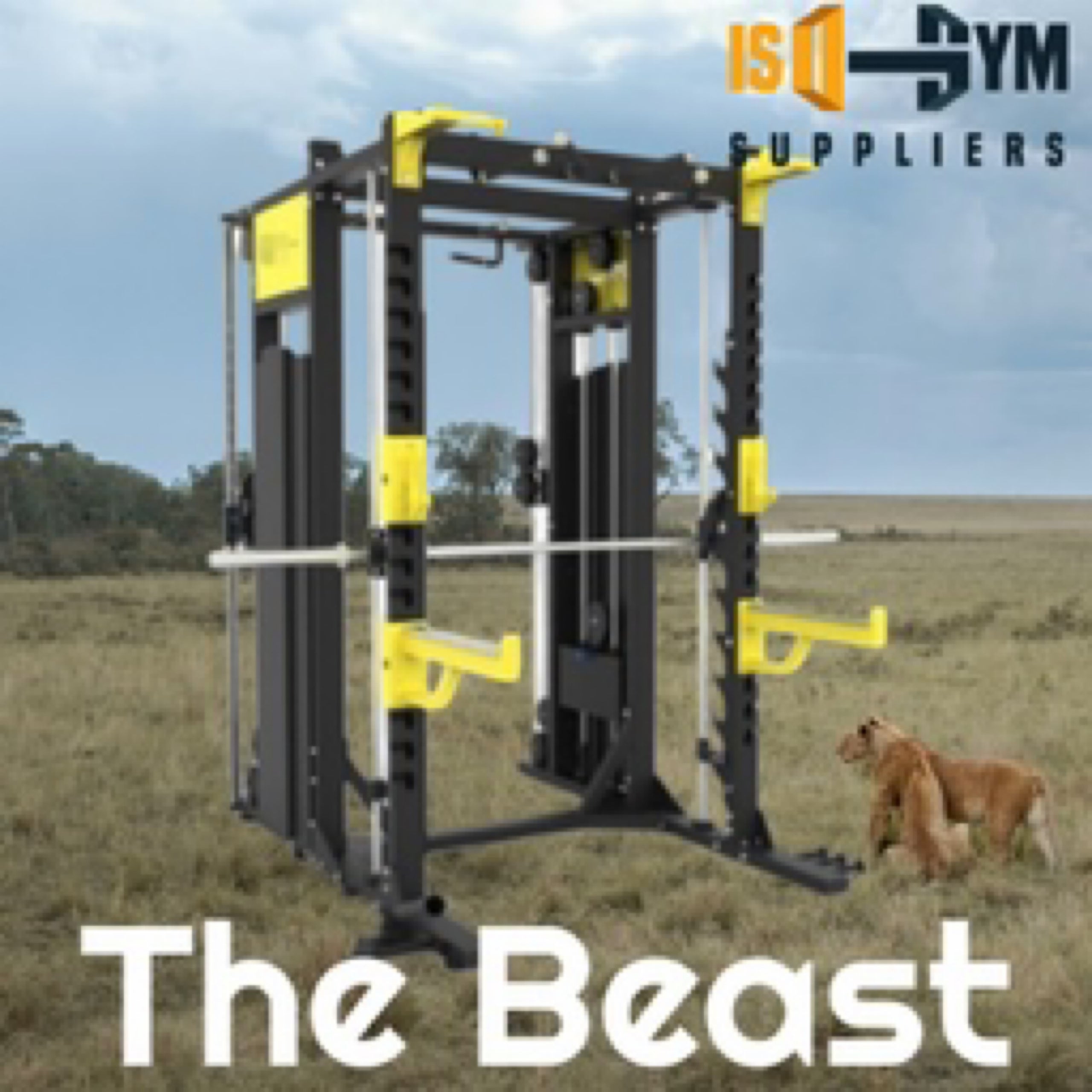 The Beast Smith Machine: Ultimate Functional Trainer